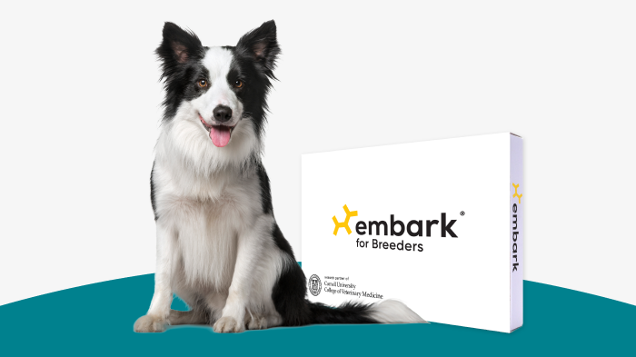 PDT Shop - Dog Supplies & Accessories