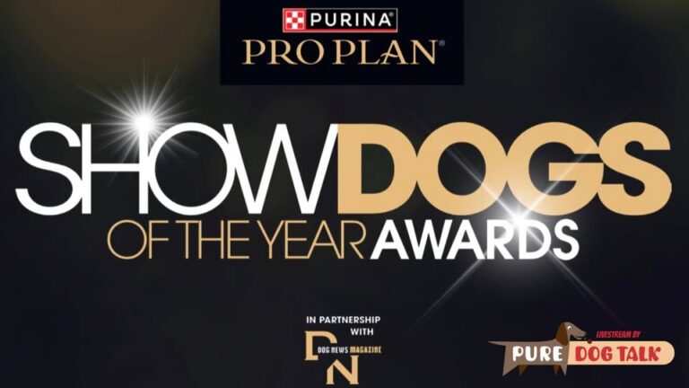 Watch Live: 2026 Purina Pro Plan Show Dog of the Year Awards - The ...